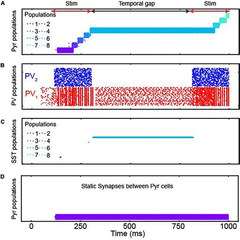 Frontiers Cortical Circuit Based Lossless Neural Integrator For