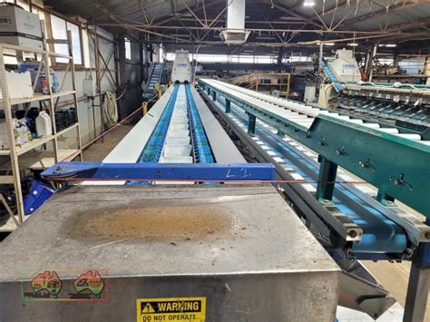 7997 Complete Tomato Grading System Harston Vic Ama Group Australia