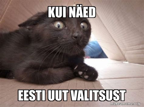 Kui Näed Eesti Uut Valitsust Schitzo Cat Meme Generator