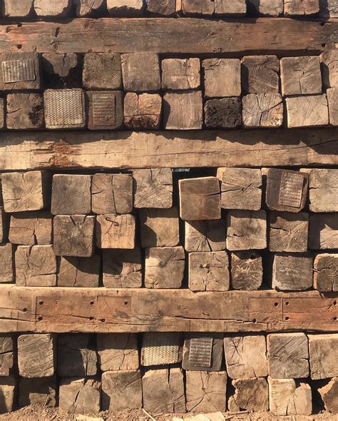 The Tiny Trunk Join Us On This World Enviornment Day And Take A Step