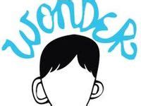 76 Teaching Wonder By Rj Palacio Ideas Teaching Wonder Bully
