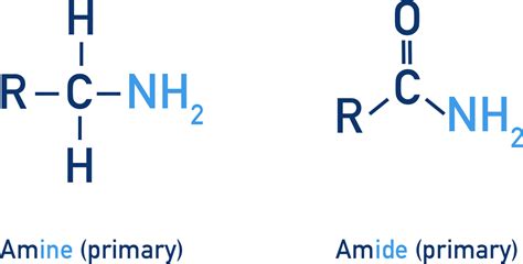 Is An Amide An Amine
