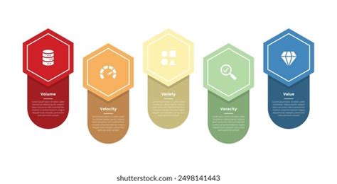 5vs Big Data Infographics Template Diagram Stock Vector Royalty Free