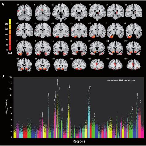 Pdf Medial Reward And Lateral Non Reward Orbitofrontal Cortex