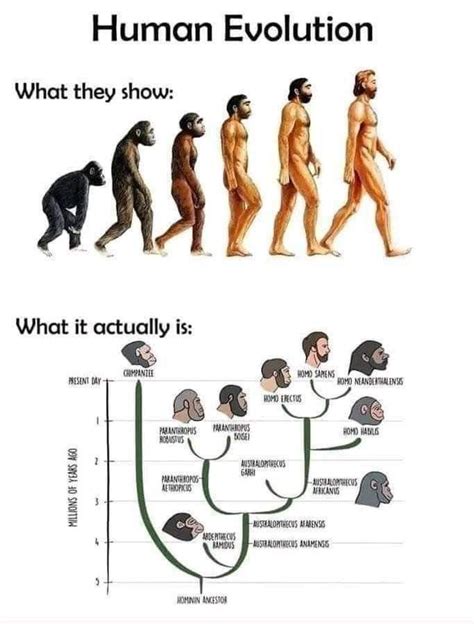 Pin By Eris Discordia On Geneticsevolution Biology Humor Biology