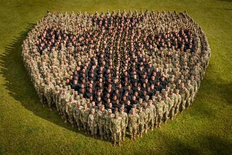 8th Tsc Creates Living Insignia Article The United States Army