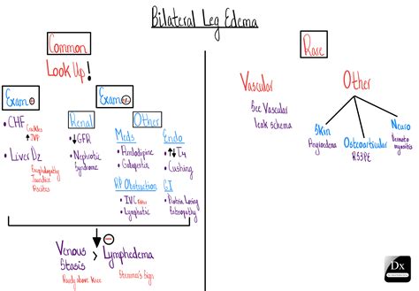 Peripheral Edema The Clinical Problem Solvers