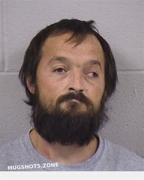 Troy Christopher Michael 11 22 2024 Dickinson County Mugshots Zone