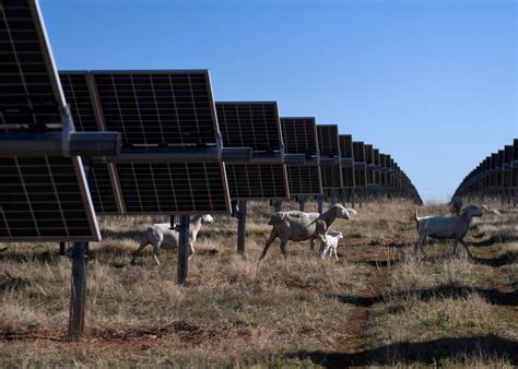 Meta Strikes Power Agreement With Constellation Nuclear Plant Reuters