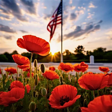 Types Of Flowers For Memorial Day At Isabel Syme Blog