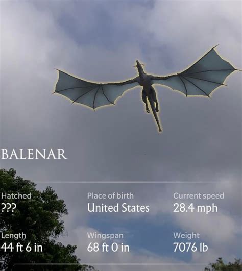 Dragon Sightings In Stelerea Land Is One Of Them Yours Usa Hatched