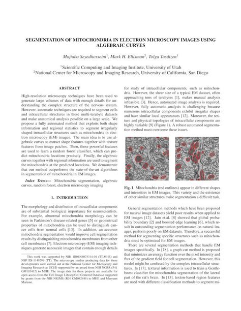 Pdf Segmentation Of Mitochondria In Electron Microscopy Images
