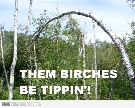 Pin By Lauren Freeman On Lol Garden Arch Outdoor Structures Outdoor