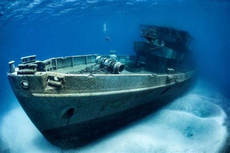 Grand Cayman Diving Living The Dream Divers