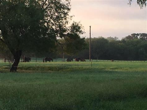 Small Time Ranch San Antonio Tx