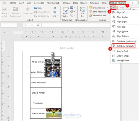 How To Insert Picture Into Excel Cell Methods ExcelDemy