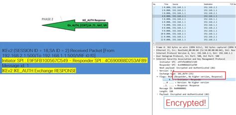 troubleshoot ipsec tunnels and common control plane issues with packet