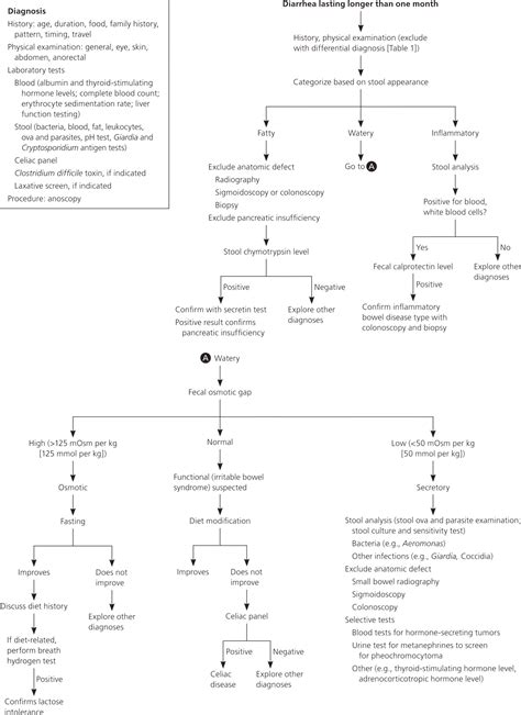 Differential Diagnosis For Diarrhea With Blood At Sophie Catani Blog