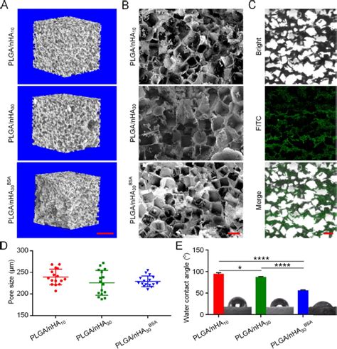 Microstructures Of Composite Scaffolds A 3d Reconstruction Of Download Scientific Diagram