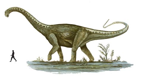 El Laboratorio De Dinosaurios De La Fcen Anuncia El Descubrimiento Del