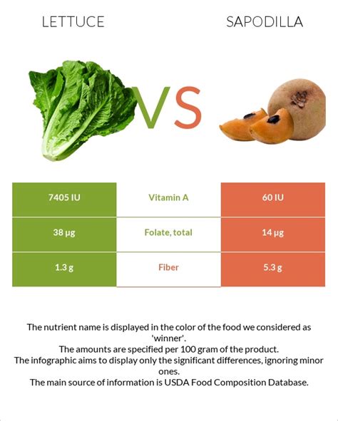 Lettuce Vs Sapodilla In Depth Nutrition Comparison