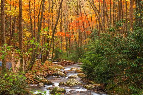 Top Spots In Georgia For Enjoying The Fall Foliage