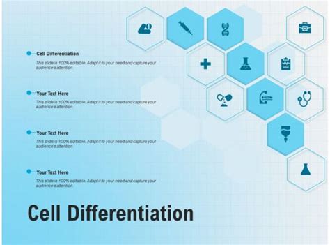 Cell Differentiation