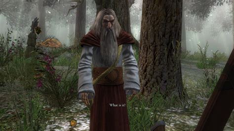 Discover More Like Witcher Help Dialogue Options Disappeared During Conversations In The