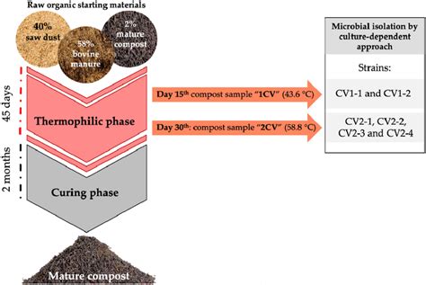 Composting Scheme And Experimental Design Of Microbial Isolation Of