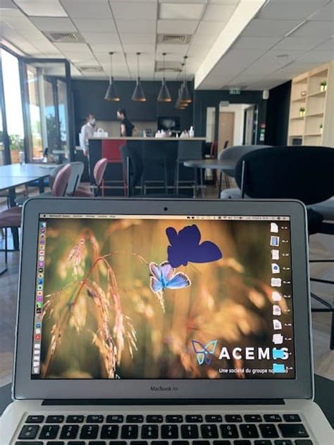 Nous Connaitre Acemis