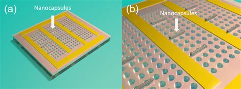 Schematics Of Electrokinetic Manipulation Integrated Plasmonic−photonic