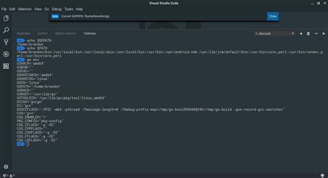 Gopath From Zshenv Not Detected Correctly Issue Microsoft Vscode Go Github