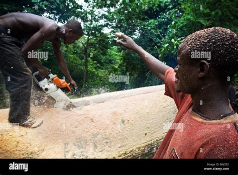 Cutting Down Tree Africa Hi Res Stock Photography And Images Alamy