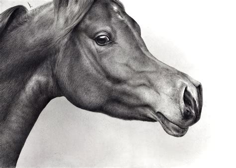 Rihana Mia Magdalena Muraszko Kowalska Rysunki