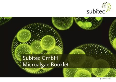 Information On Microalgae And Photobioreactors Ppt