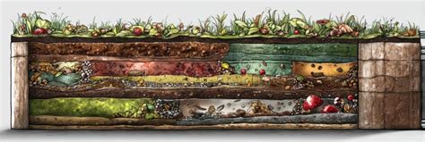 Compost Bin Cross Section Showing Animated Layers Of Decomposition With