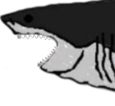 Meg Head By Megalodonproductions On Deviantart