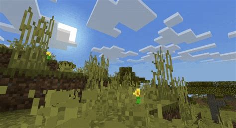 Texturas Grama Animada Para Minecraft Baixar