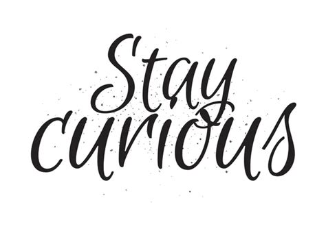 Stay Curious Vector Art Stock Images Depositphotos