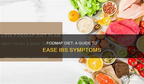 Fodmap Diet A Guide To Ease Ibs Symptoms Shunketo