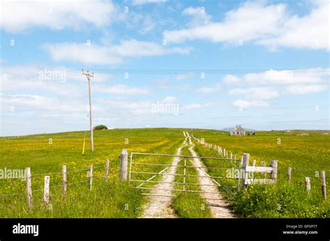 A Farm Track Leads Through A Gate And Across A Field Of Grass And