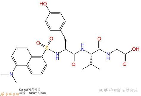 肽基 甘氨酸单加氧酶底物：dansyl Tyr Val Gly Oh、113527 49 4 知乎