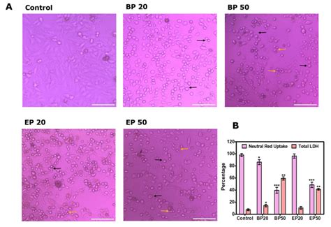 The Ligand Interaction Diagram Of Compound Bp With Human Cyp1a2