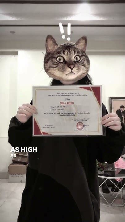 去学校领奖 Youtube