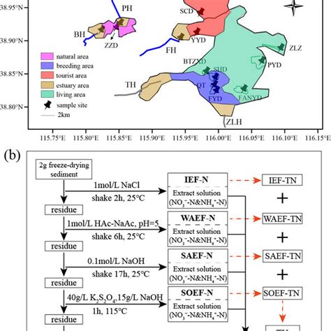 The Sample Sites And Sequential Extraction Process Of Sediment N