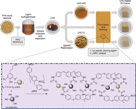 Schematic Representation Of The Production Of Bio Based Pus From Lignin Download Scientific
