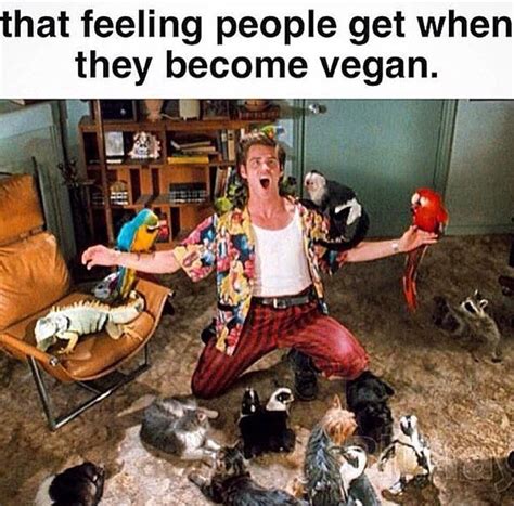 The Feeling You Get When You Become Vegan Vegan Meme Vegan