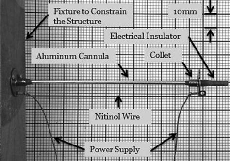 experimental setup for a constant stress and b constant strain