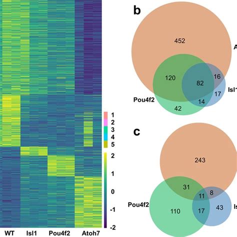 Conventional Rna Seq Identifies Differentially Expressed Genes Degs Download Scientific