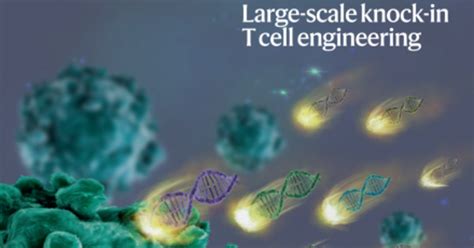 Bridging The Gap In African Biodiversity Genomics And Bioinformatics